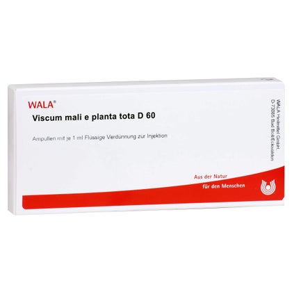 Viscum MALI e planta tota D 60 Ampullen 10X1 ml online kaufen | DocMorris