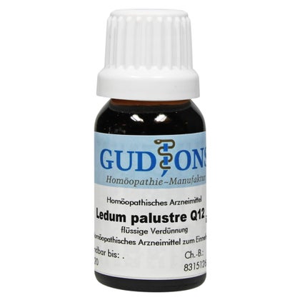 Ledum Palustre Q 12 Lösung 15 ml online kaufen | DocMorris