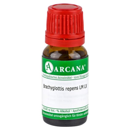 Brachyglottis Repens LM 60 Dilution 10 ml online kaufen | DocMorris